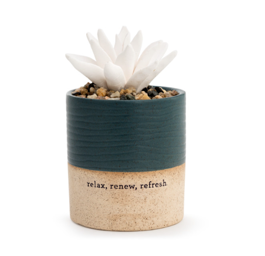 Succulent Oil Diffuser - Relax – Giftology East Longmeadow