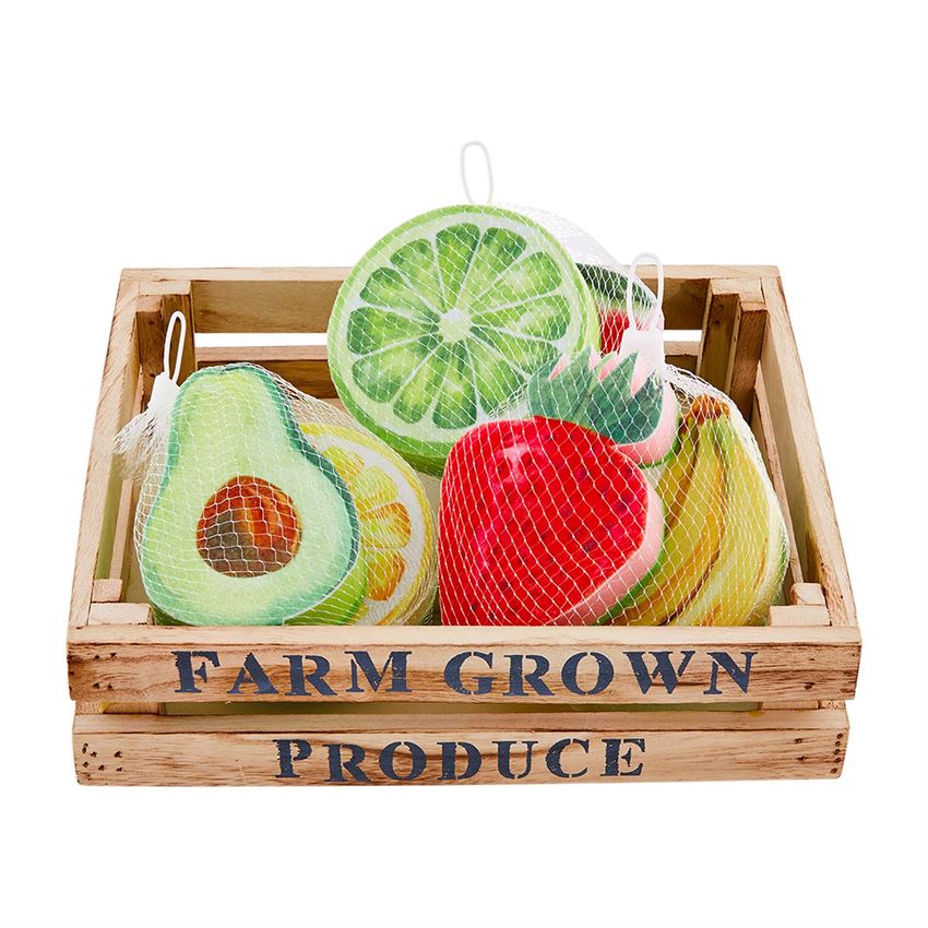 Fruit Sponge – Giftology East Longmeadow